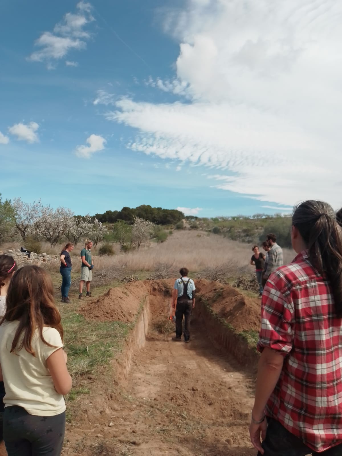 Biochar, Balsas and Bernat's Mum (OFIW)